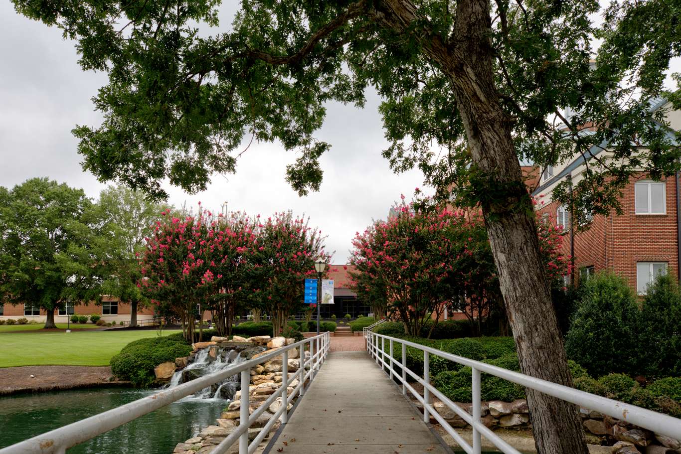 Experience Wingate Undergraduate Tour in Virtual Reality.